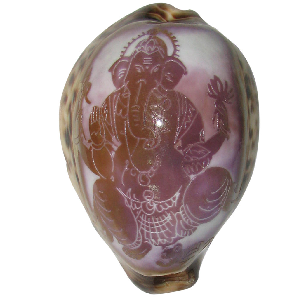 Lord Ganesh Ganapathy Art on Cowrie Kawdi Kaudi Kowdi Sea Shell - A1086 ...