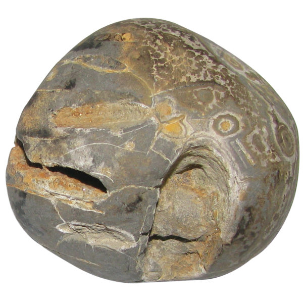 Aadhyathmik 100% Original Natural Sacred Nemali Pincham Mor Pankh Mayil ...