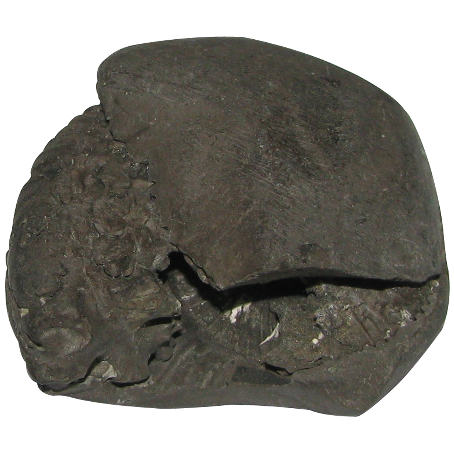 Sri Divyasamhaya Narasimha Shaligram Shila Saligram Sila Salagram Stone ...