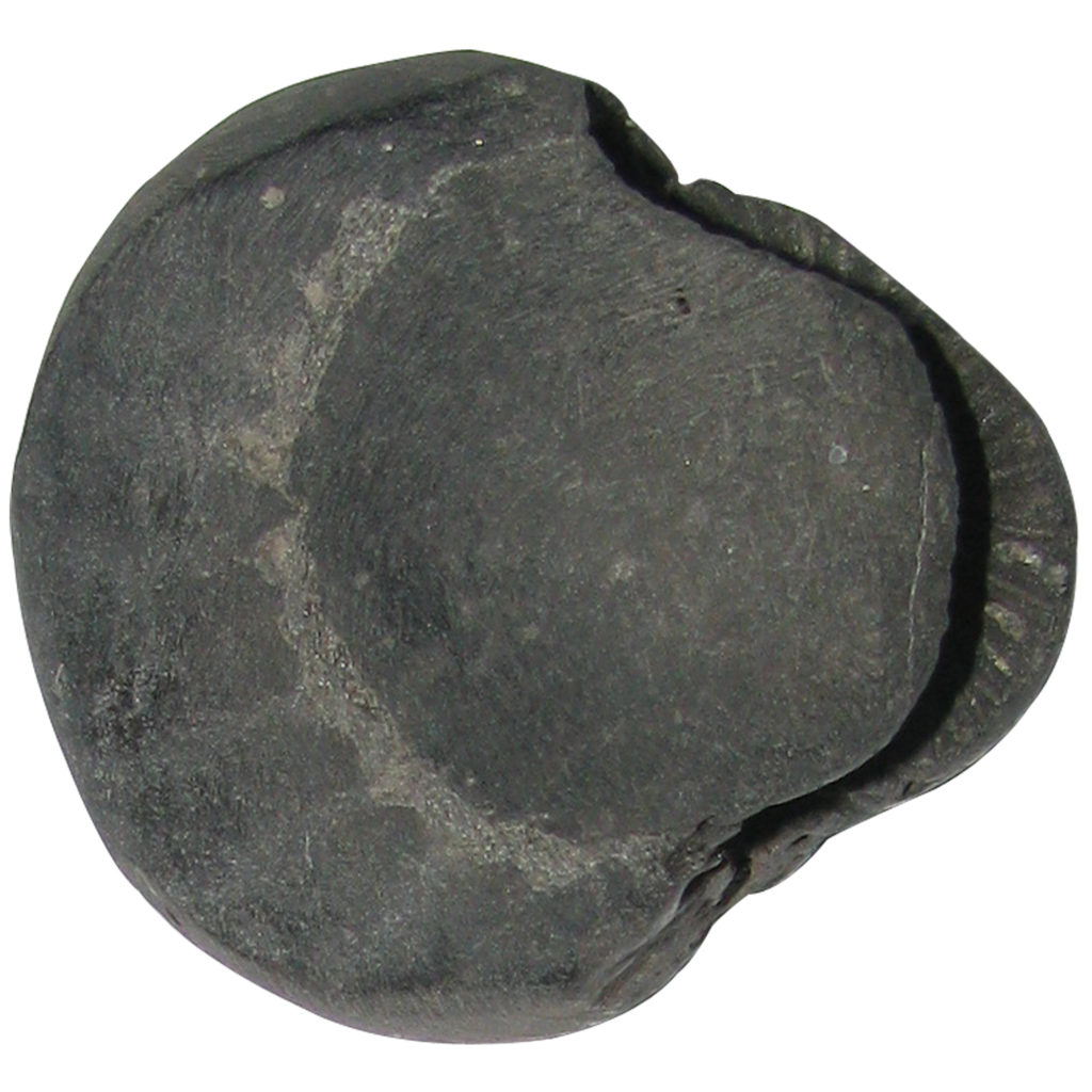 Sri Divyasamhaya Narasimha Shaligram Shila Saligram Sila Salagram Stone ...