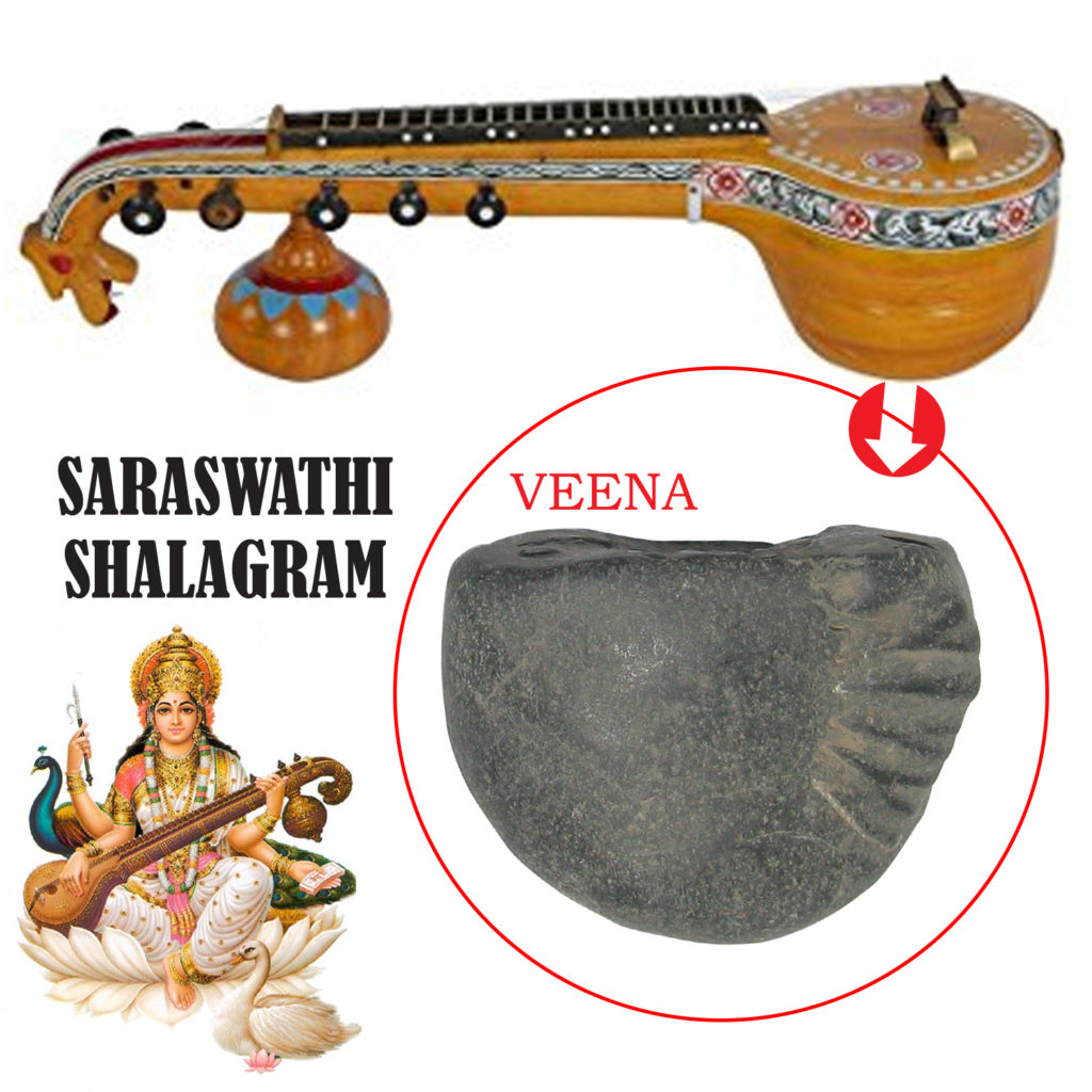 Shaligram Shila Saligram Sila Salagram Stone Saligramam Murti Of ...