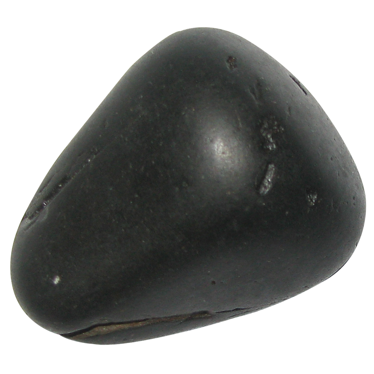 Shaligram Shila Saligram Sila Salagram Stone Saligramam Murti Of ...