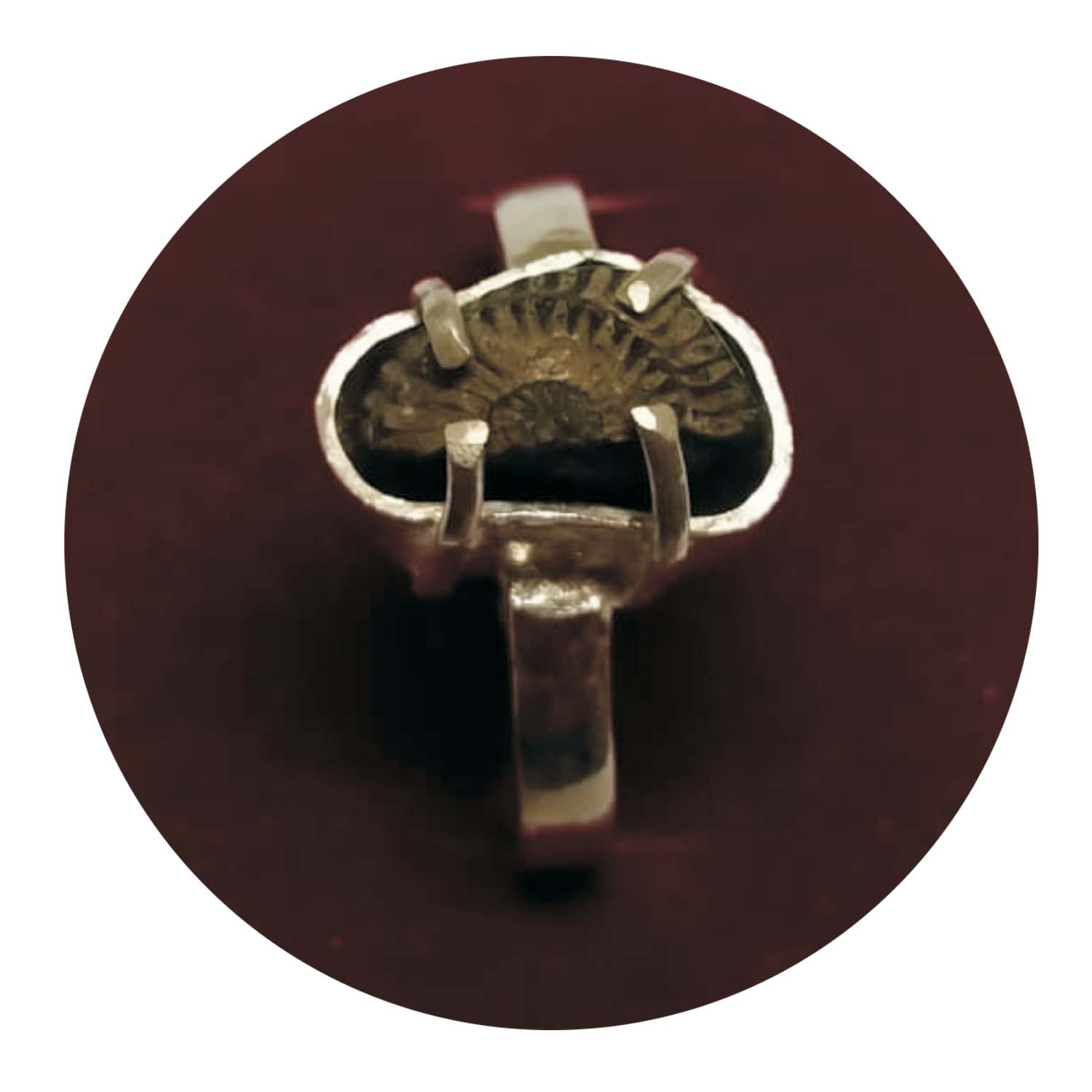 Aadhyathmik Surya Narayana Shaligram Shila Silver Ring Saligram Sila ...