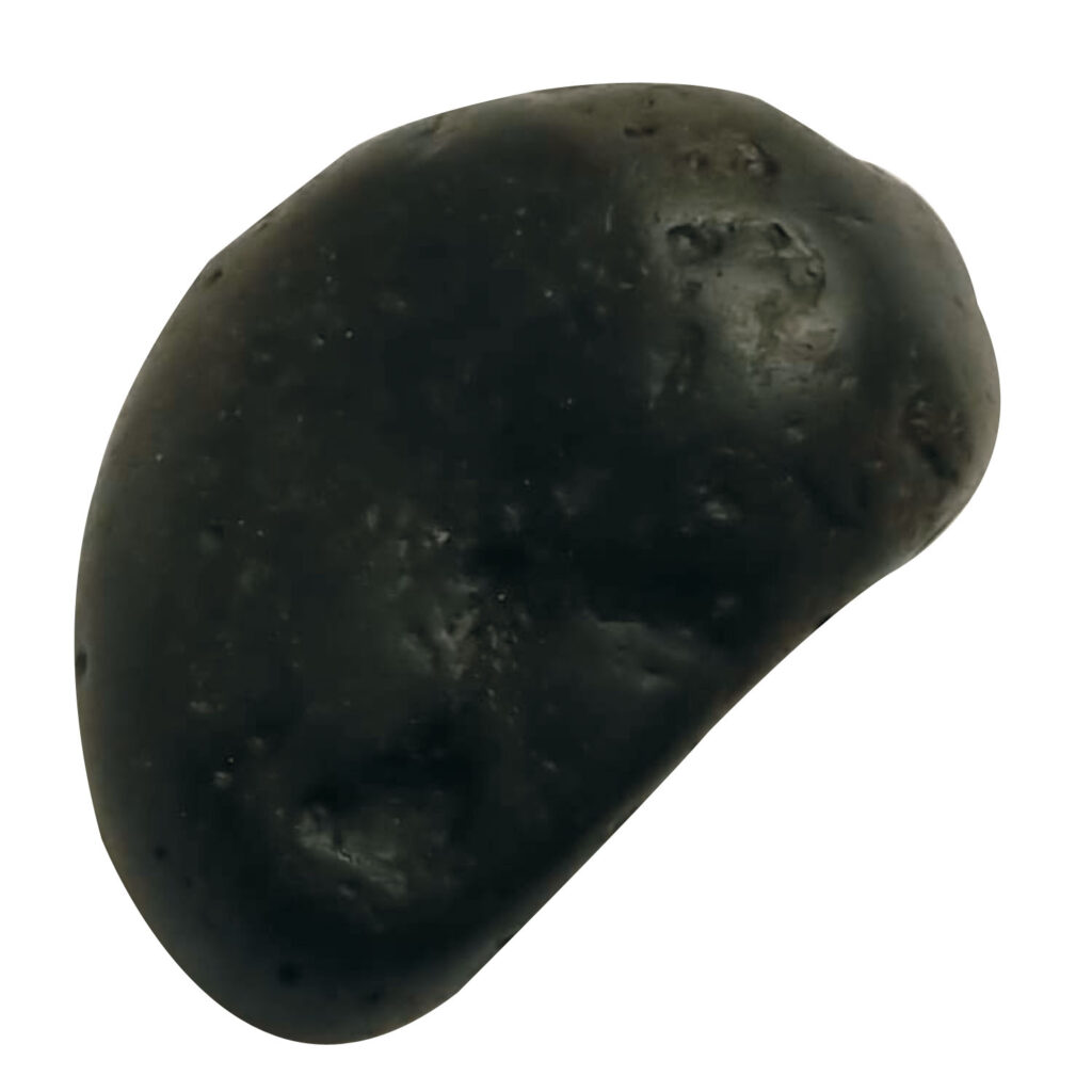 Aadhyathmik 100% Original Natural Sacred Hayagreeva Hayagriva Shaligram ...