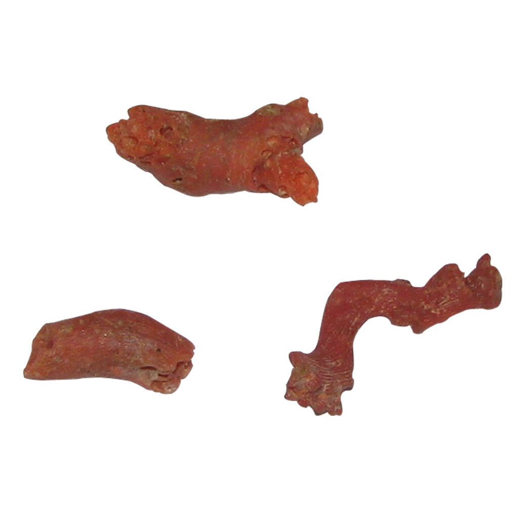 Aadhyathmik Natural Red Coral Moonga Pagadam Pavalam Praval Pavizham ...