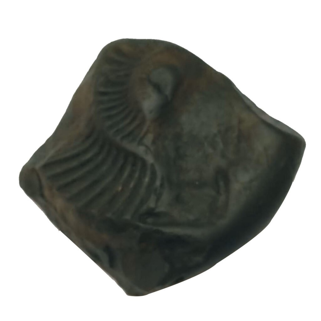 Aadhyathmik Tripura Bhairavi Das Maha Vidya Shaligram Shila from Nepal ...