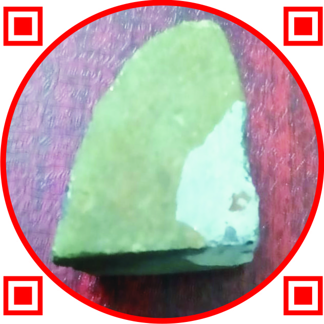 Aadhyathmik Swarnamukhi Ambika Devi for Panchayatan Puja 72grams 1 ...