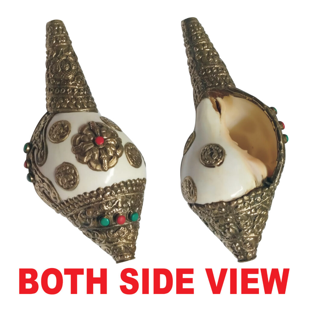 S9035-08 - Aadhyathmik Consecrated Natural Vamavarthi Sankh Edampuri ...