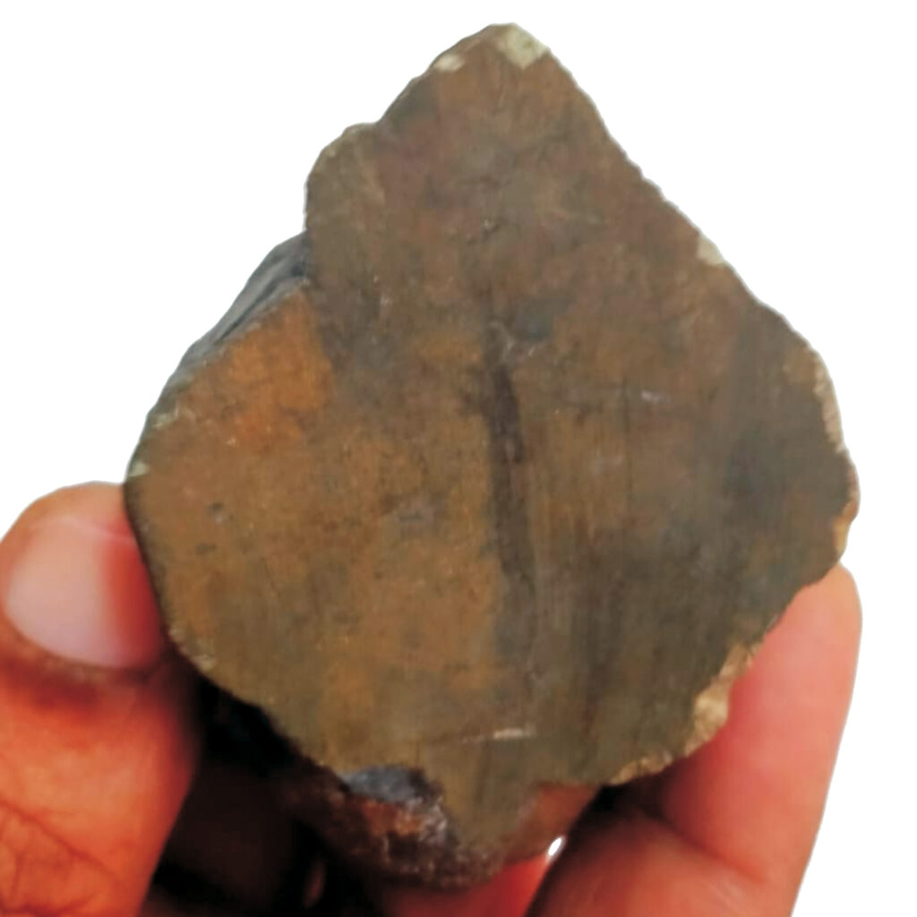 S9039-05-02 - Aadhyathmik Swarnamukhi Ambika Devi Panchayatana Natural ...