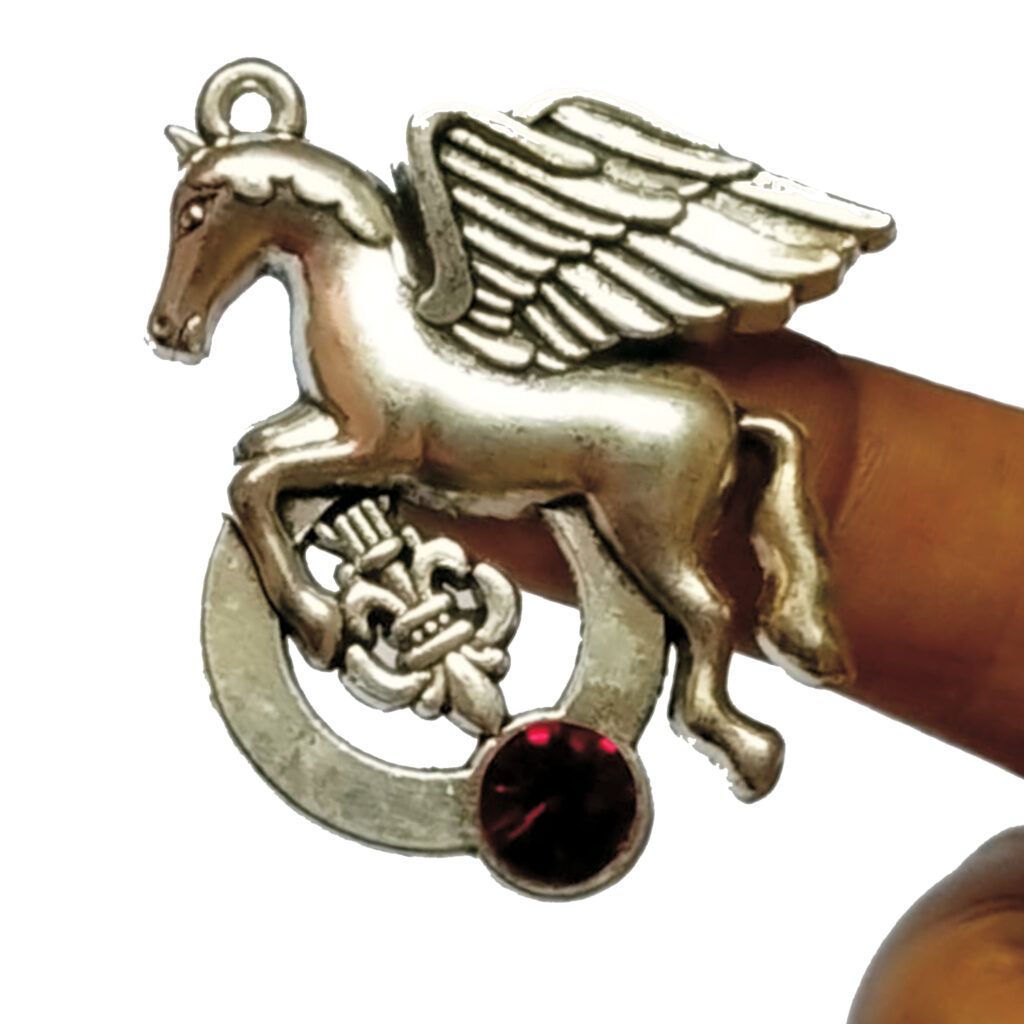 S9058-269 - Aadhyathmik Rekkala Gurram Parakkum Gudhirai Unicorn Flying ...