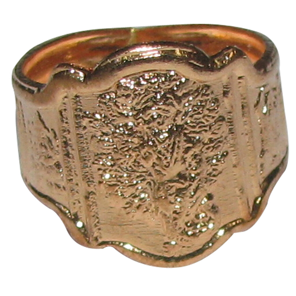 S9094-21 - Aadhyathmik Murugan Subrahmanya Ragi Vungaram Taamra Taamba ...