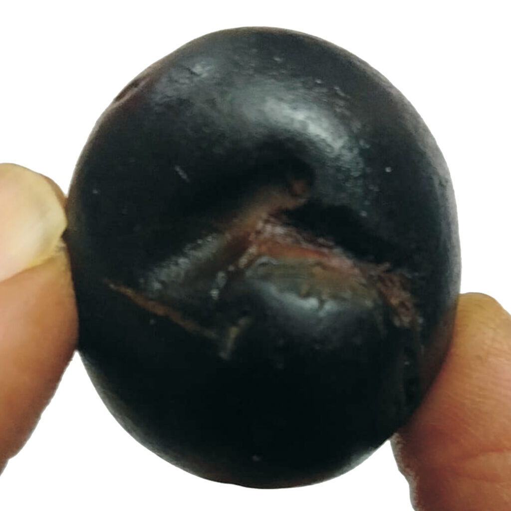 S9067-123 - Prathyangira Sametha Lakshmi Narasimha Shaligram ...