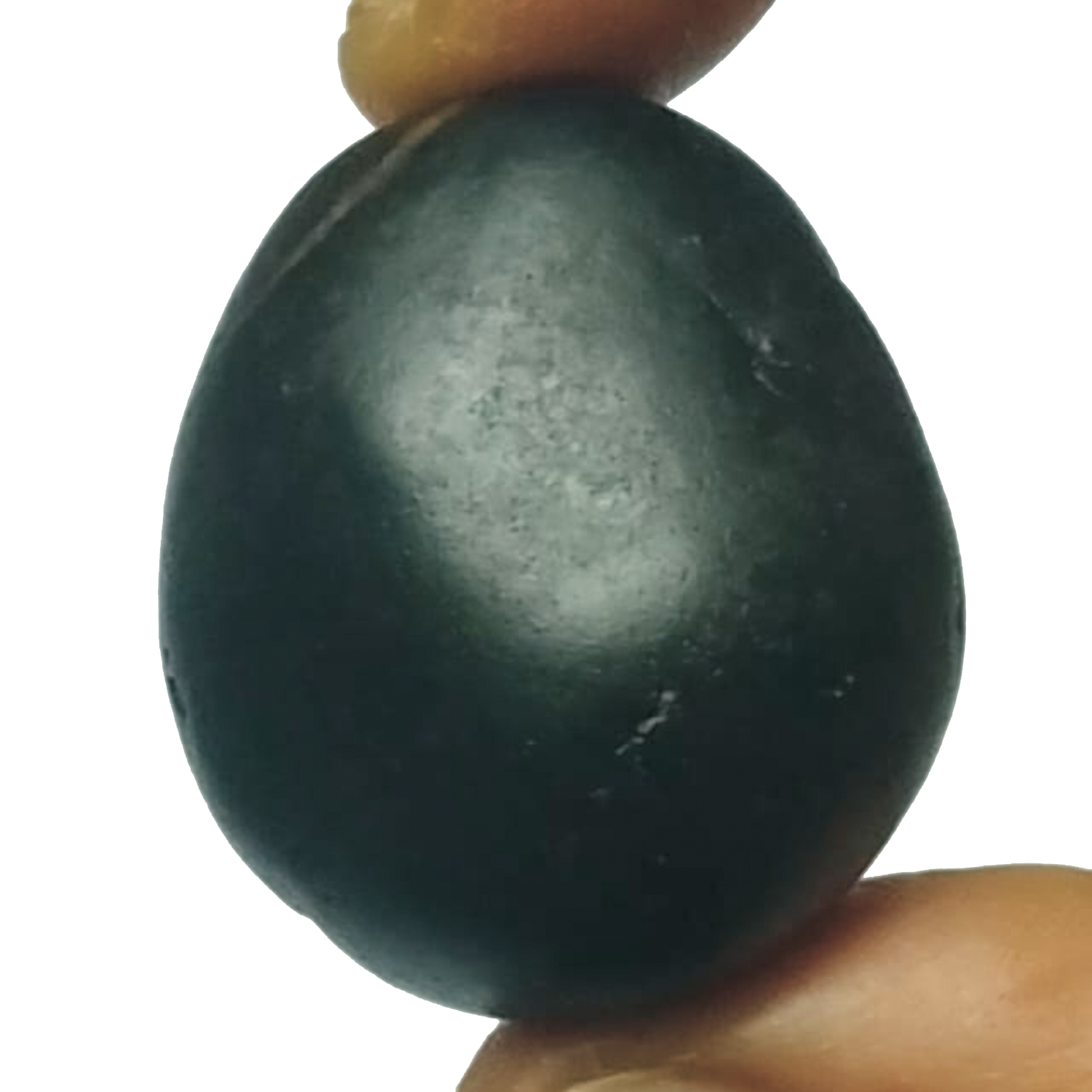 S9067-114 - Bhu Varaha Shaligram Aadhyathmik 100% Original Natural ...