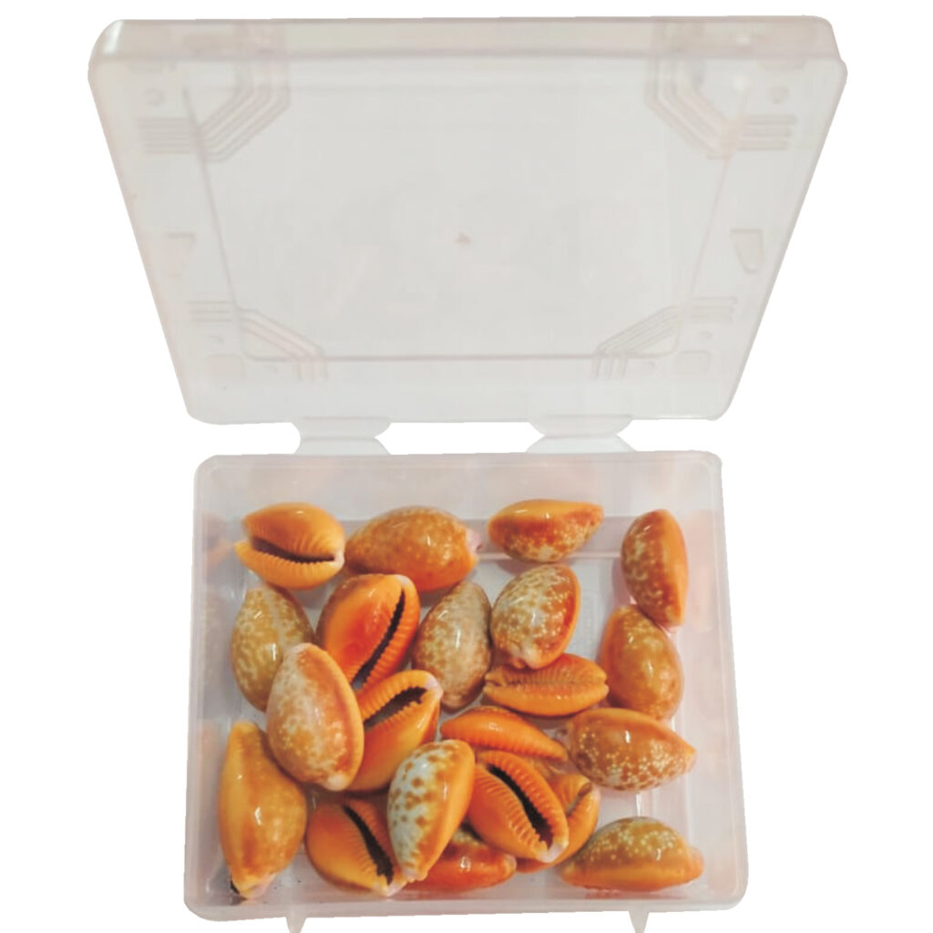 S912728-R - Aadhyathmik Sacred Red Lakshmi Gavvalu Chowi for Pure Luck ...