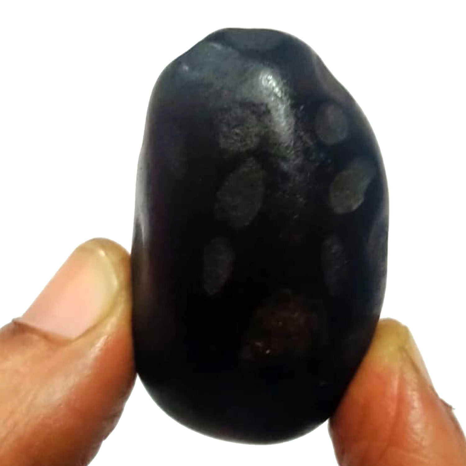 S9067-118 - Krishna Shaligram Aadhyathmik 100% Original Natural Sacred ...