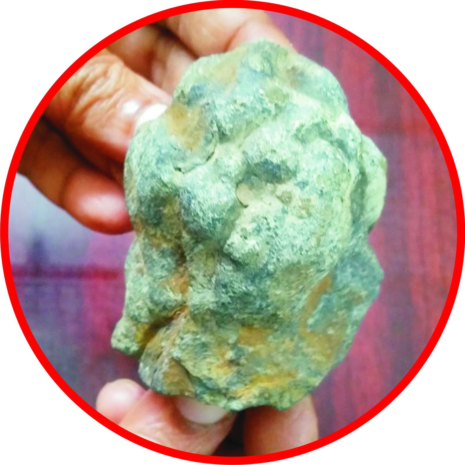 S9039-07-04 – Aadhyathmik Swarnamukhi Ambika Devi Panchayatan Natural ...