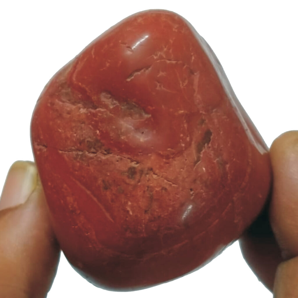 S9061-10 - Aadhyathmik Natural Visishta Sonabhadra Panchayatan ...